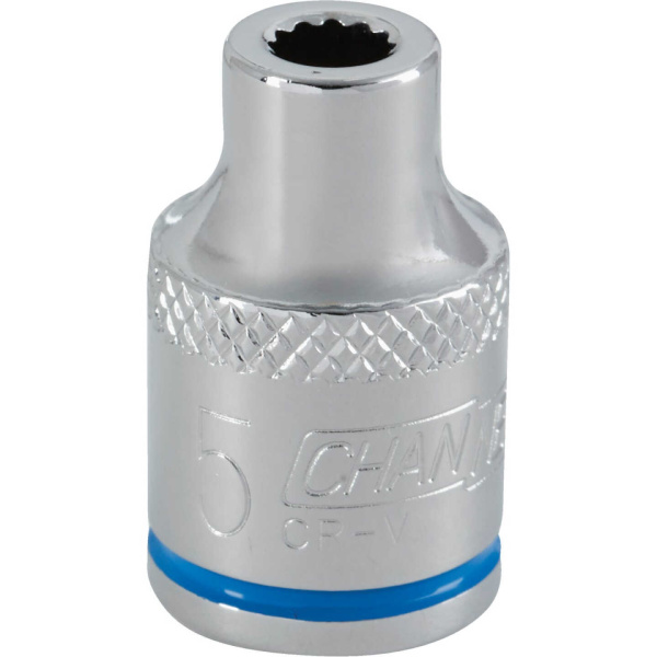 Channellock 3/8 In. Drive 5 mm 12-Point Shallow Metric Socket ...